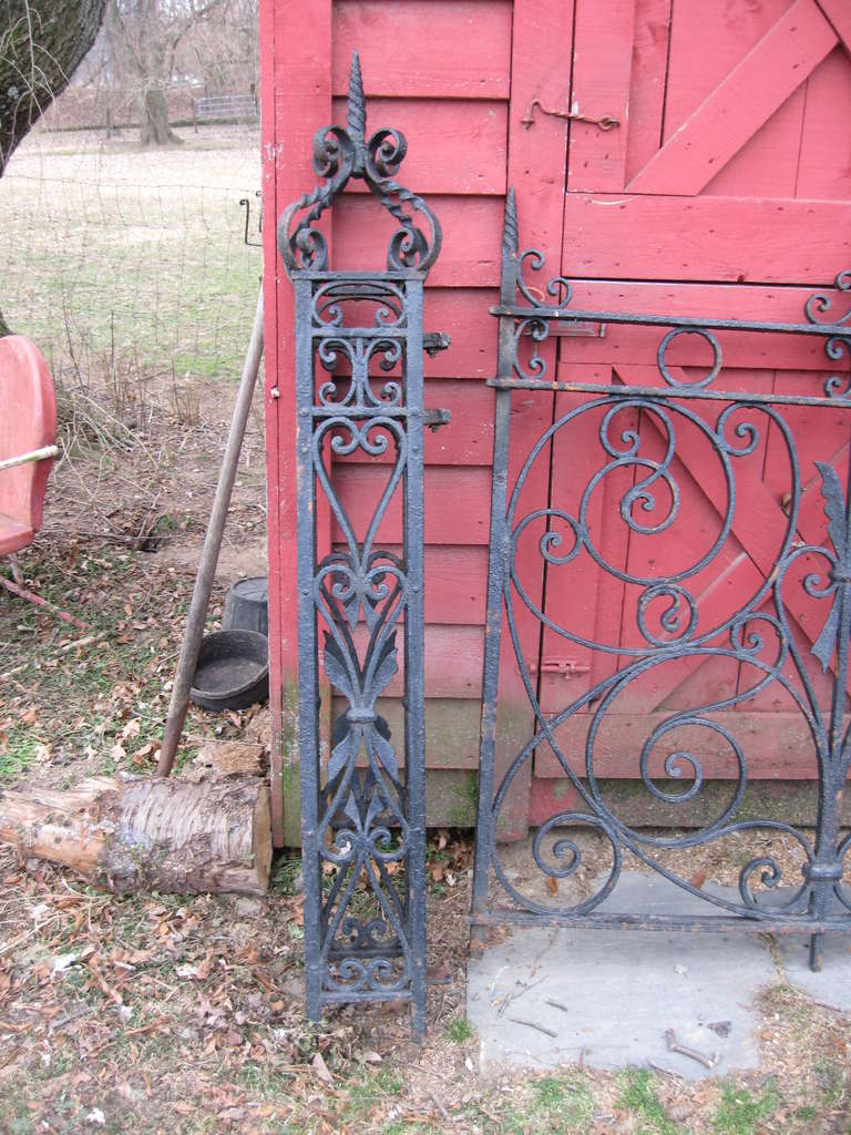 19th Century Iron Fence - Radio Craze